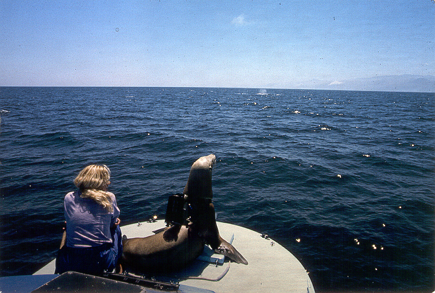 Thoughts From a Life Time of Animal Training « Animal Training ...